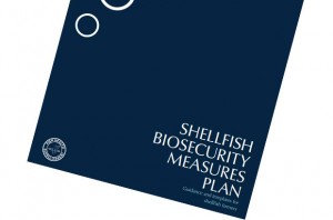 Molluscan shellfish diseases and how to prevent the spread – Marine Science
