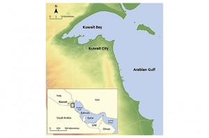 Sun, sea and sewage – Marine Science