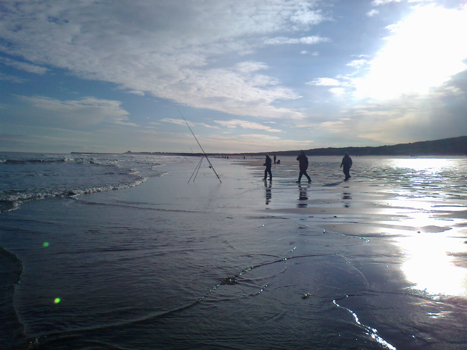 2017 – Marine Science