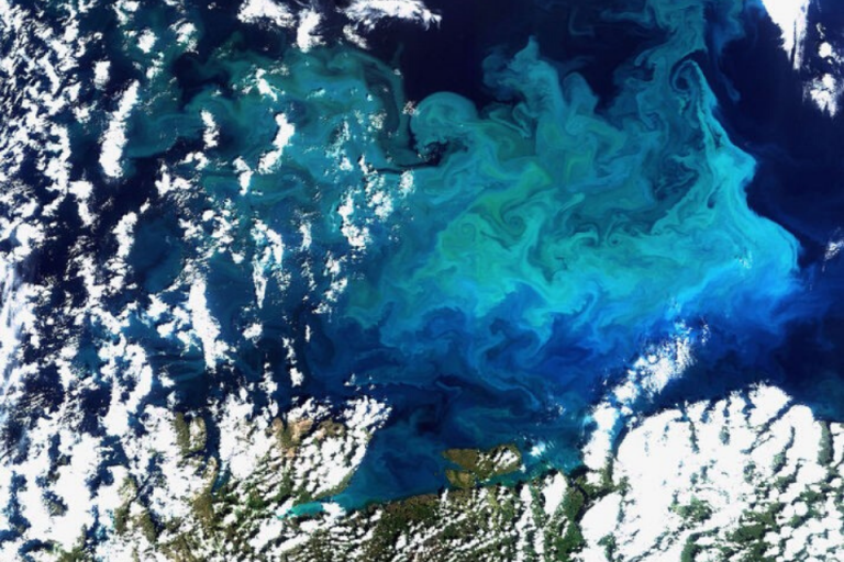 Oceanography – Marine Science