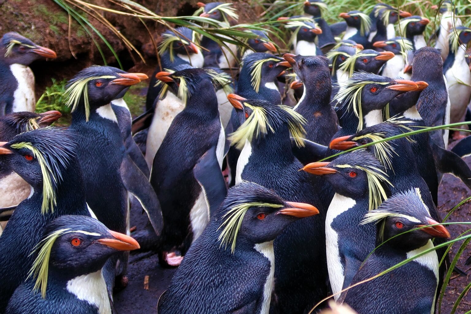 The Blue Belt Programme: looking back on 2020/2021 – Marine Science