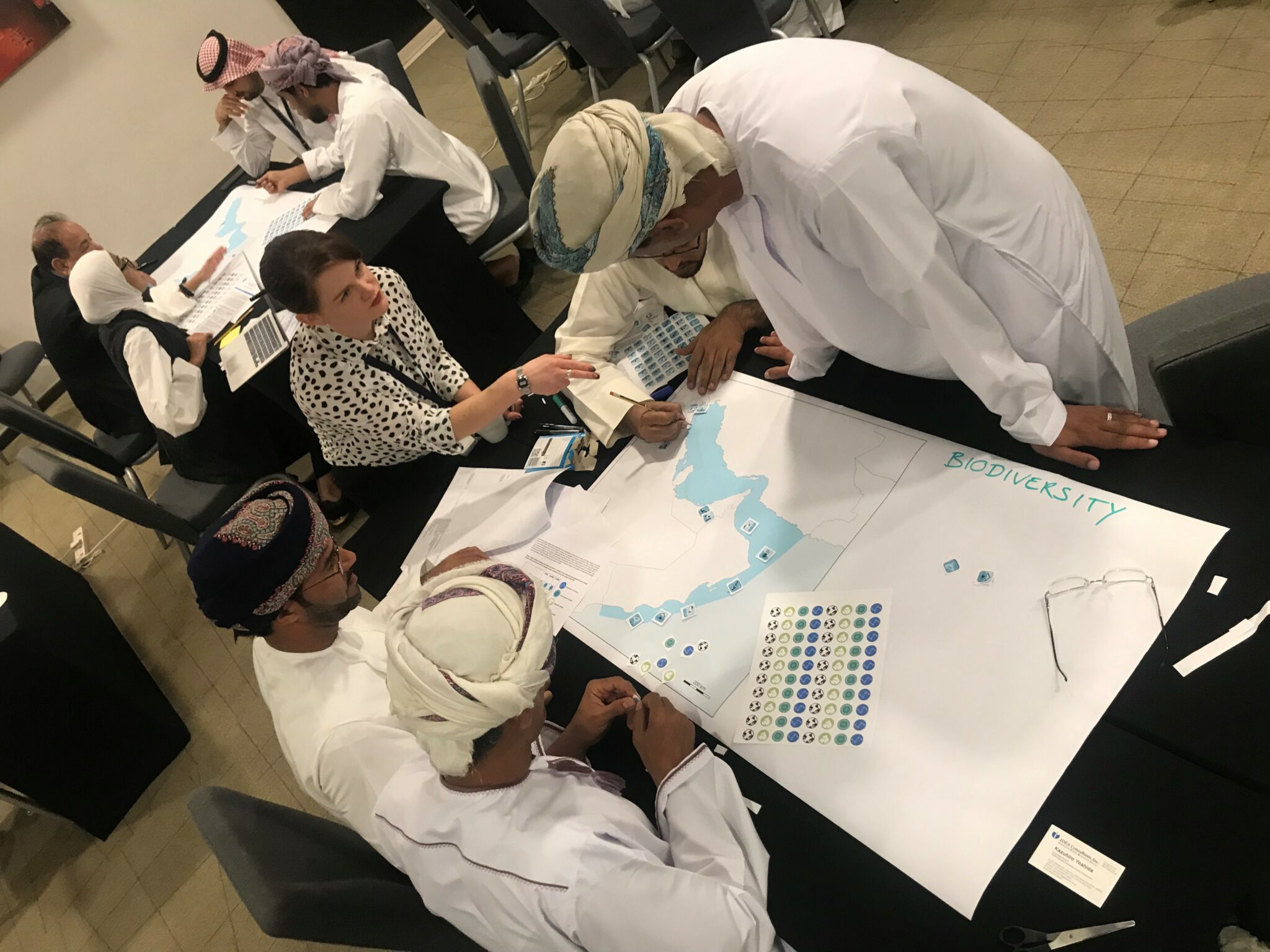 Too hot to handle? Adapting to the impacts of marine climate change in ...