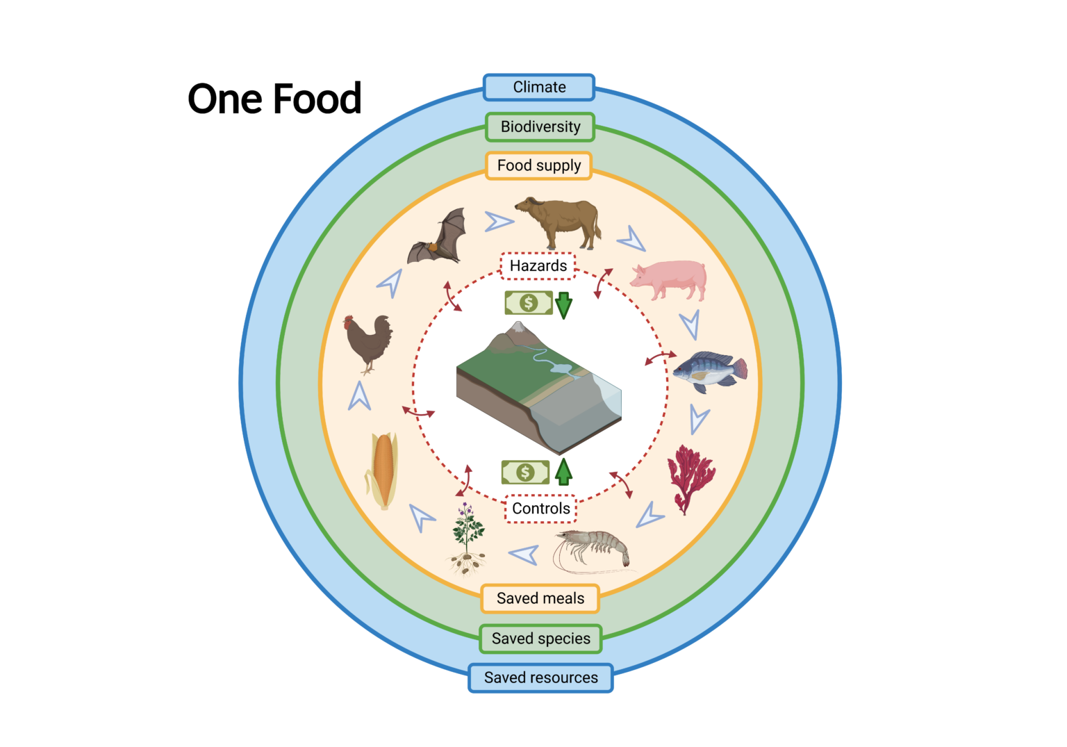 One Food for One Health – Marine Science