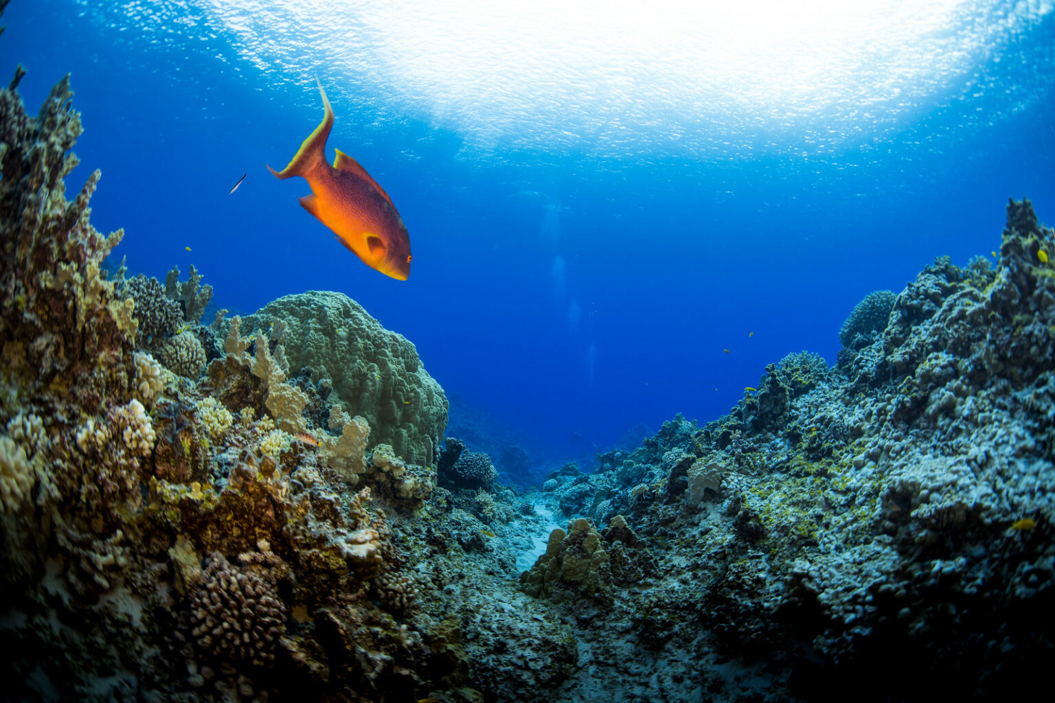 In deep water? Understanding the future climate risks to Pitcairn’s ...