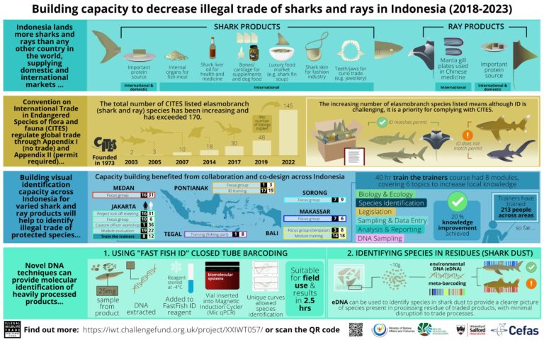 How science, partnerships and innovation are key to tackling illegal trade of sharks and rays in ...