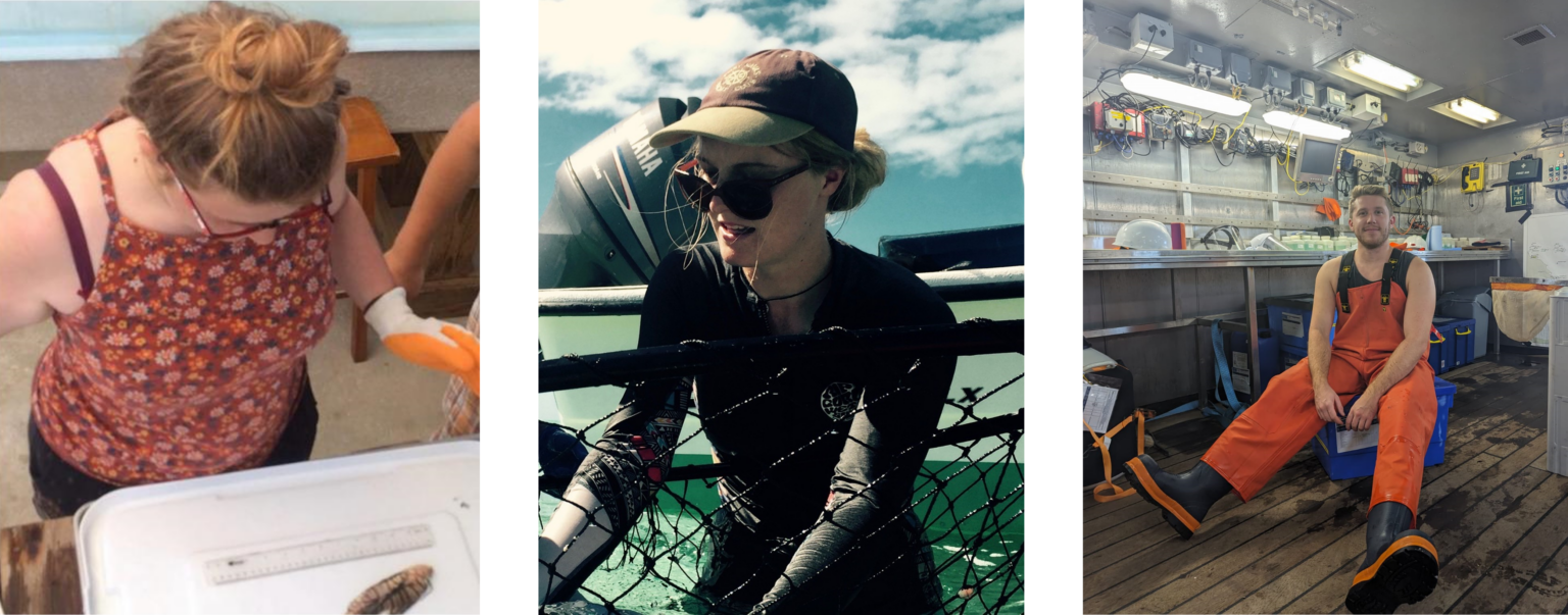 What do a Communications Officer, a Shellfish Scientist and a Fish ...