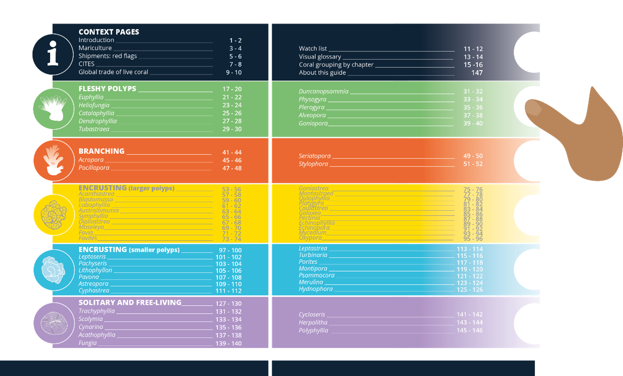 Safeguarding Global Coral Trade: The Power of a New Visual Guide for ...