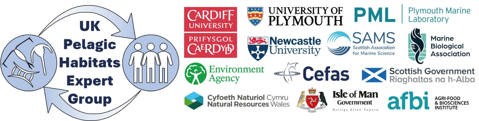 The power of plankton: Advancing our understanding of the role and ...