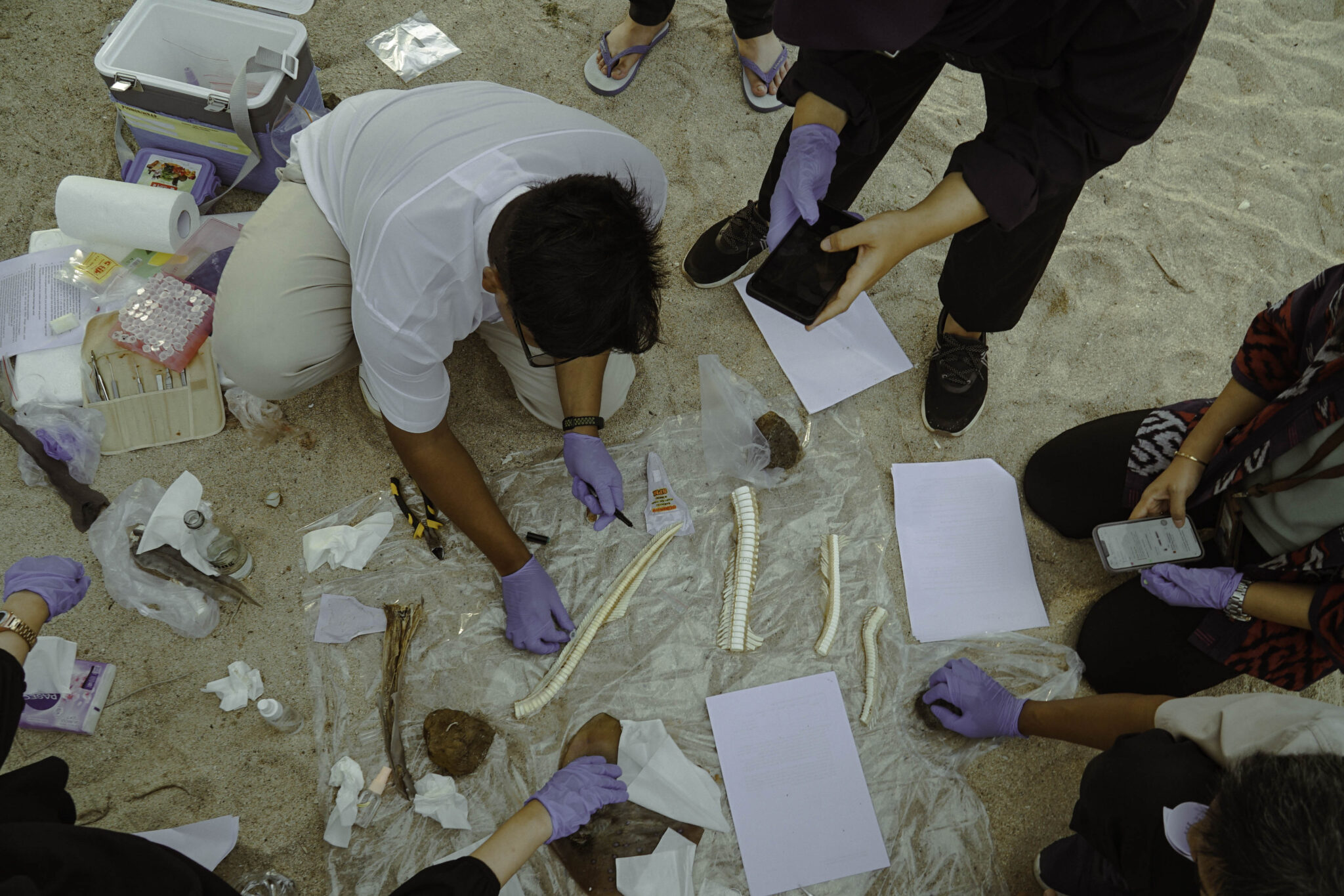 Marine Science – Insight and updates on the latest research and ...